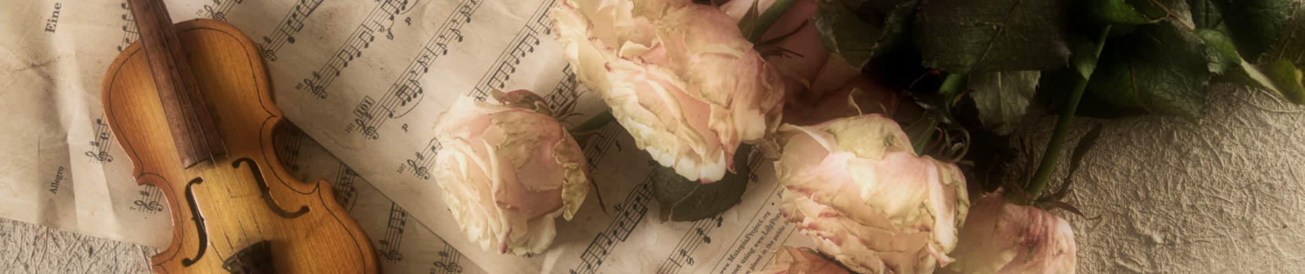 Comment la musique influence la croissance des plantes : études et conseils