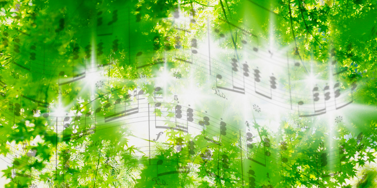 How Music Influences Plant Growth: Studies and Tips