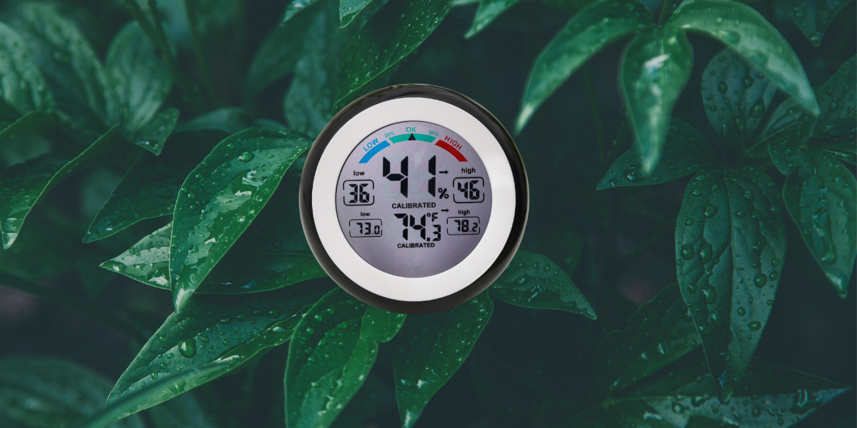 The Ecosystem of a Closed Plant Terrarium: A Self-Sustaining Tropical ...