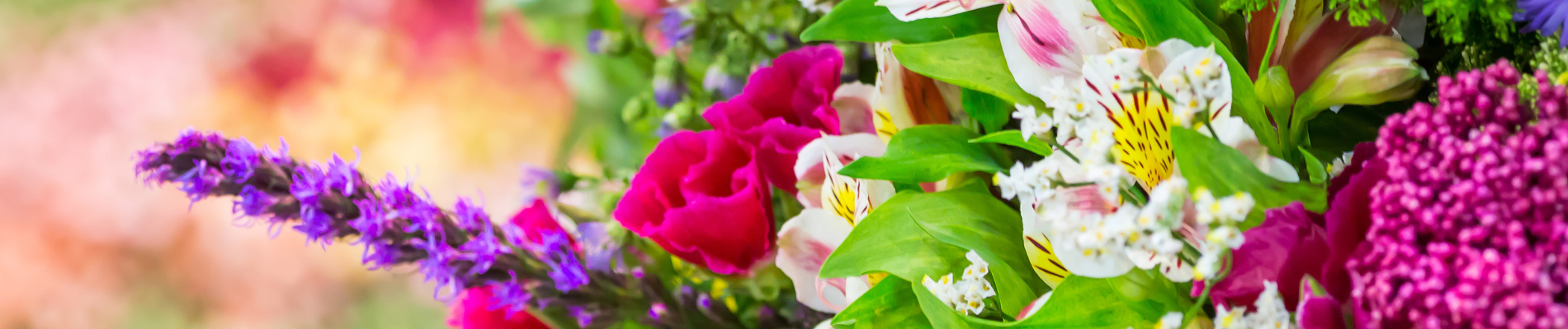 The Genetics Behind Flower Color: How Pigments Create Nature's Palette